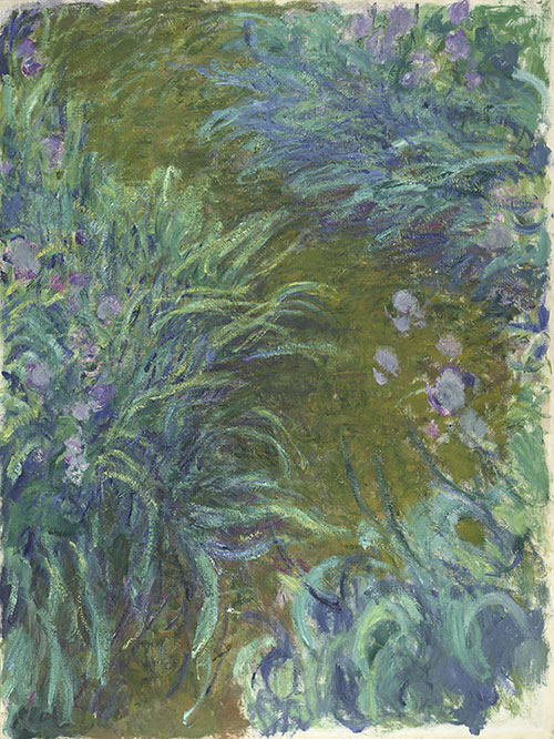Monet, Irises | ColourLex