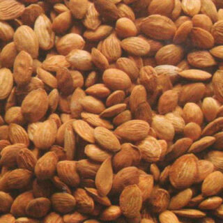 Peach stone black - ColourLex